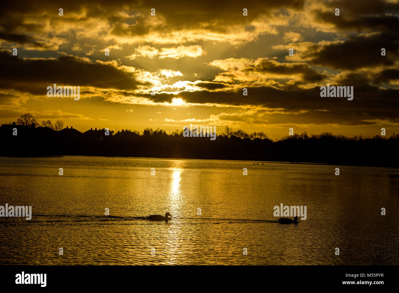 Bolton, Lancashire, UK. 20th February, 2018. A glorious golden sunset ...