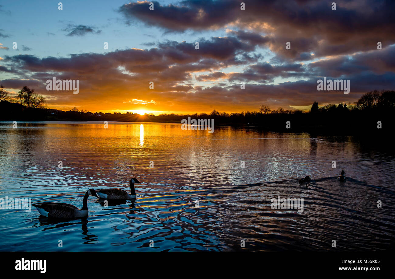 Bolton, Lancashire, UK. 20th February, 2018. A glorious golden sunset ...