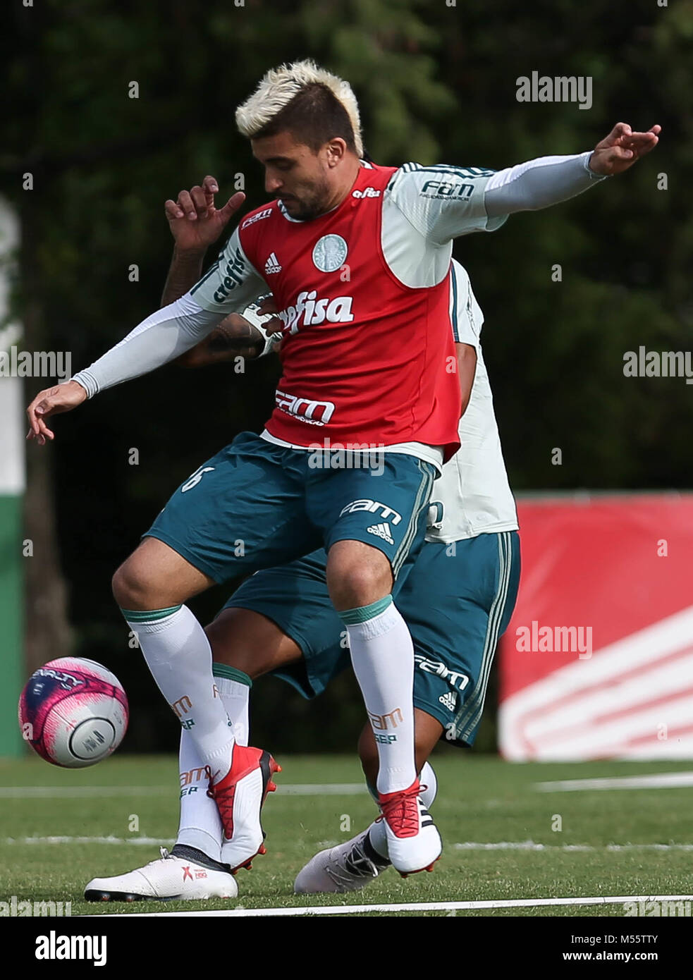 SÃO PAULO, SP - 20.02.2018: TREINO DO PALMEIRAS - Player Victor Luis ...