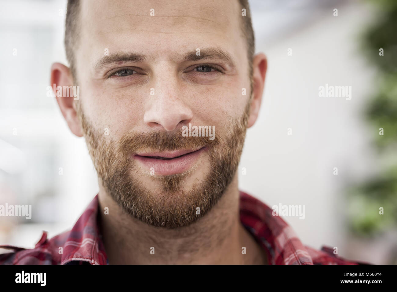 Male masculine adult beard hi-res stock photography and images - Alamy