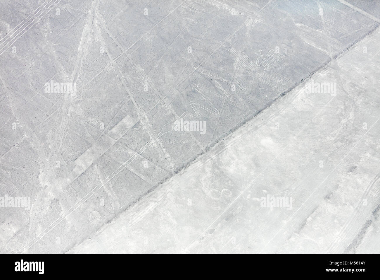Nazca lines from the aircraft Stock Photo - Alamy