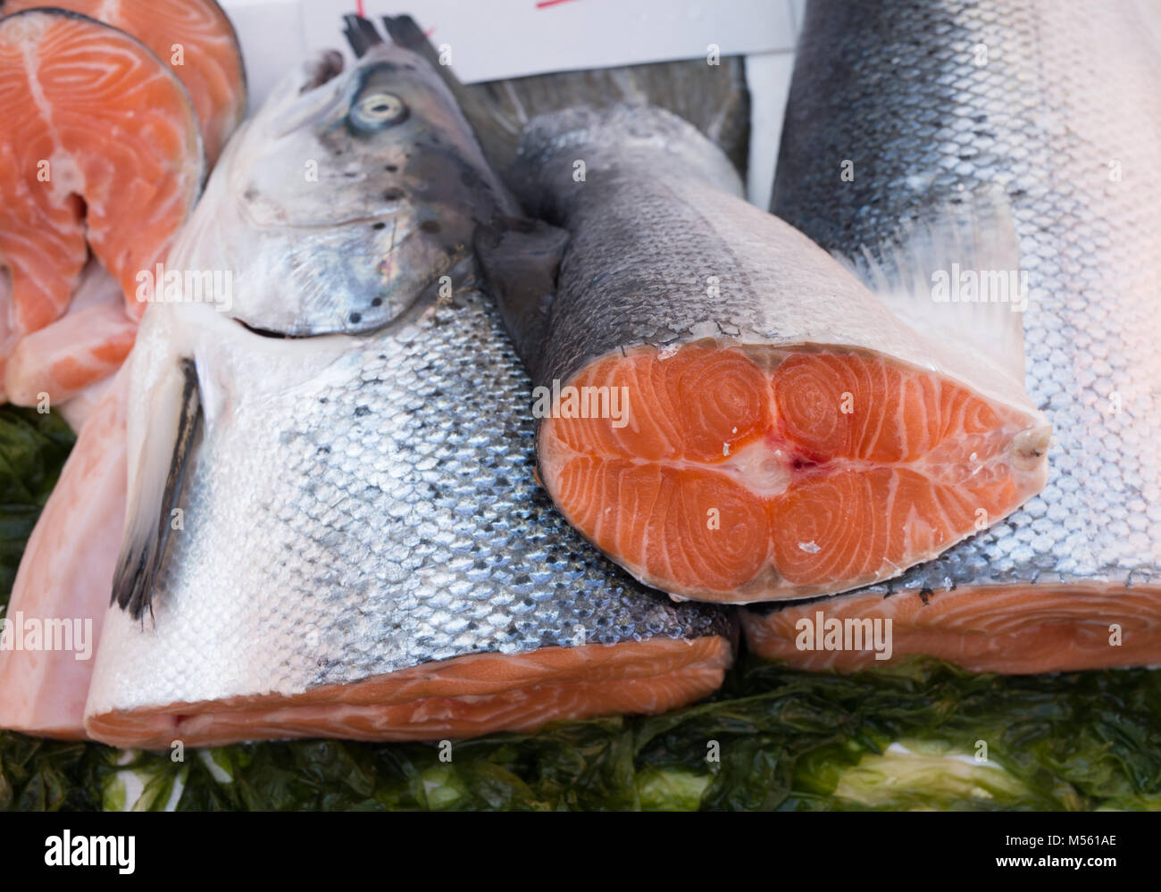 Fish exposed in market Stock Photo - Alamy