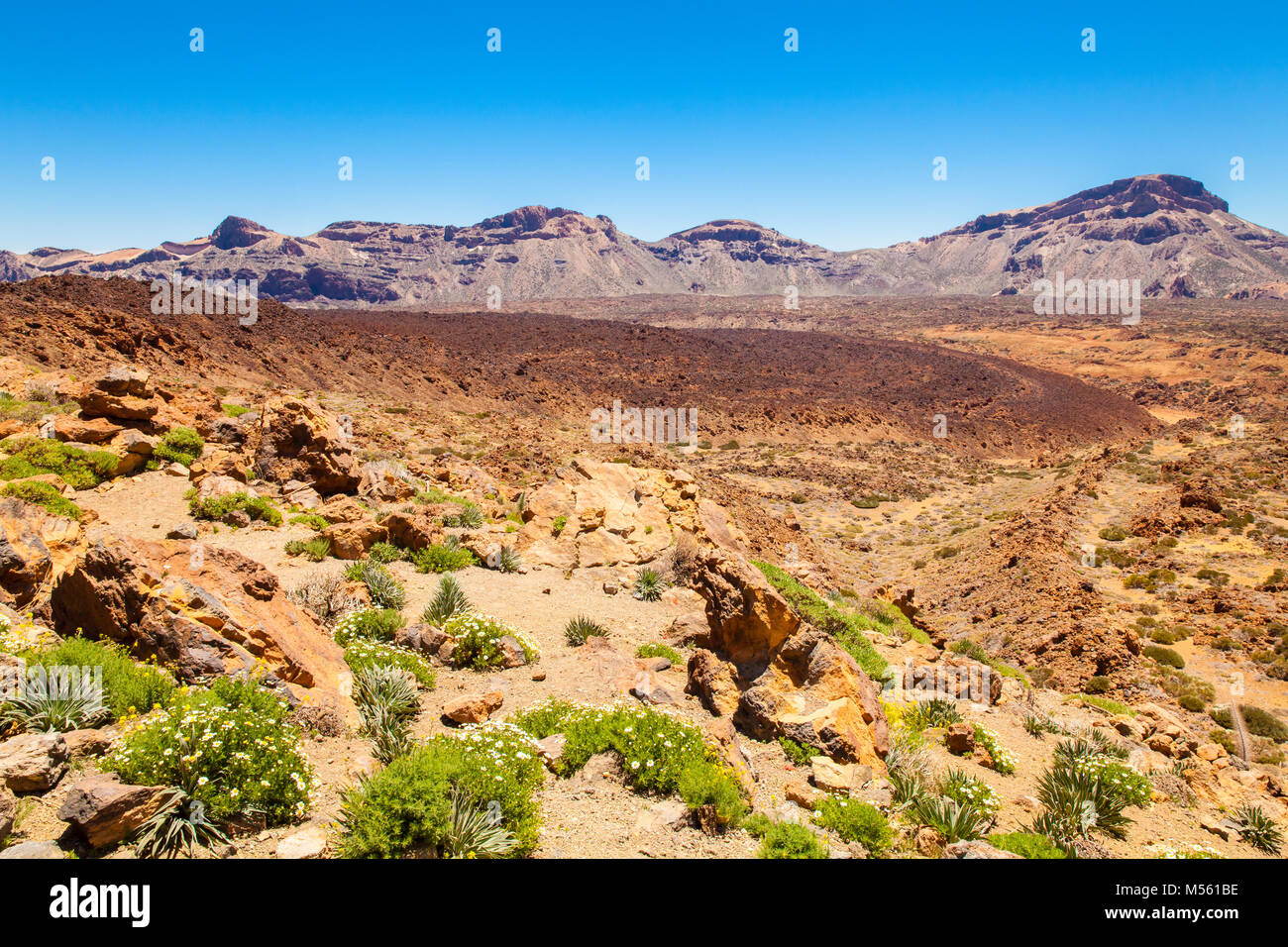 Panoramic view mount teide hi-res stock photography and images - Alamy