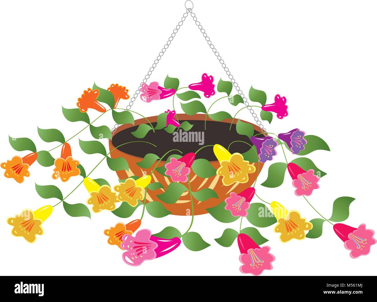 Hanging basket floral display Stock Vector Images - Alamy
