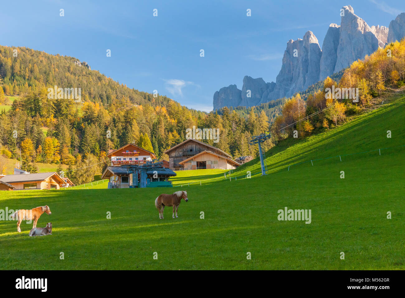 Italian Alps with horses Stock Photo - Alamy