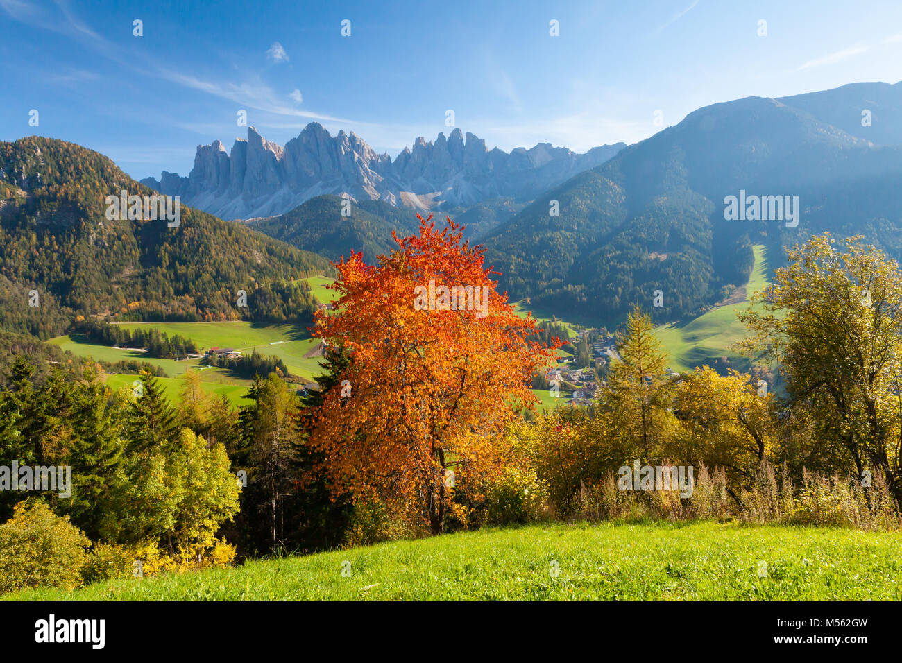 Foliage dolomiti hi-res stock photography and images - Alamy