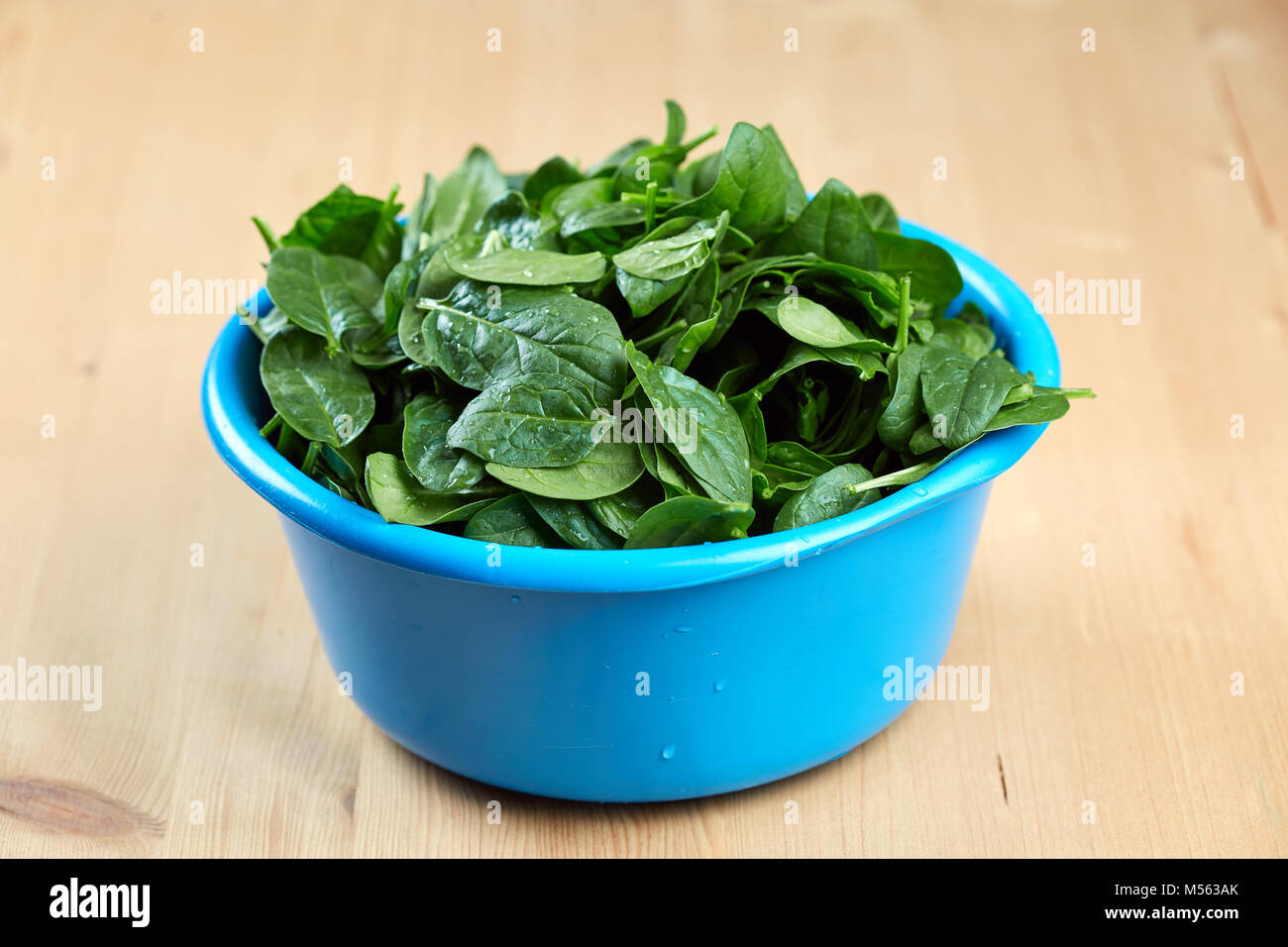 Closeup of baby spinach hi-res stock photography and images - Alamy