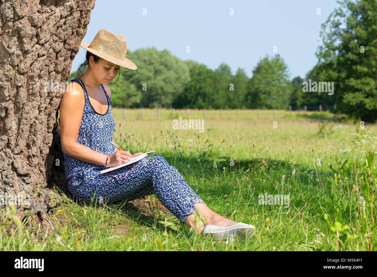 Woman sitting against tree writing in nature Stock Photo - Alamy
