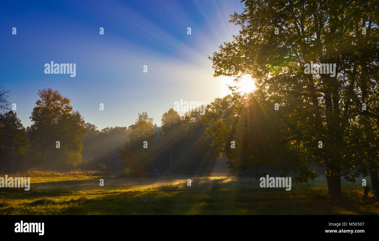 sun rays sunrise trees Stock Photo - Alamy