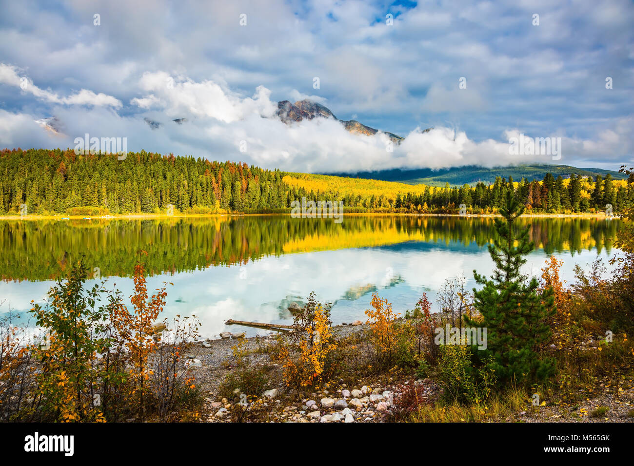 Patricia Lake amongst the forests and mountains Stock Photo - Alamy