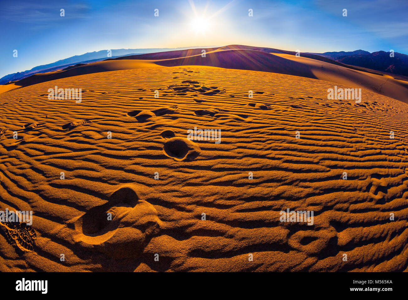 Early morning in desert Stock Photo - Alamy