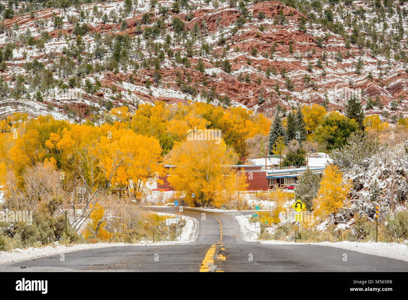 First snow and autumn trees along wet highway Stock Photo - Alamy
