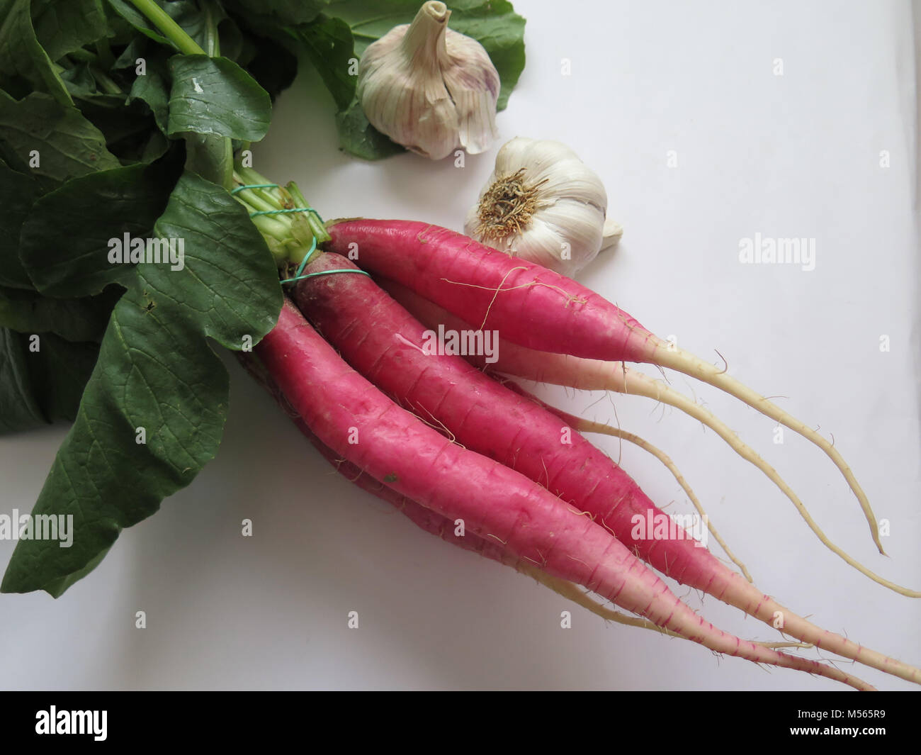 Rabanos hi-res stock photography and images - Alamy