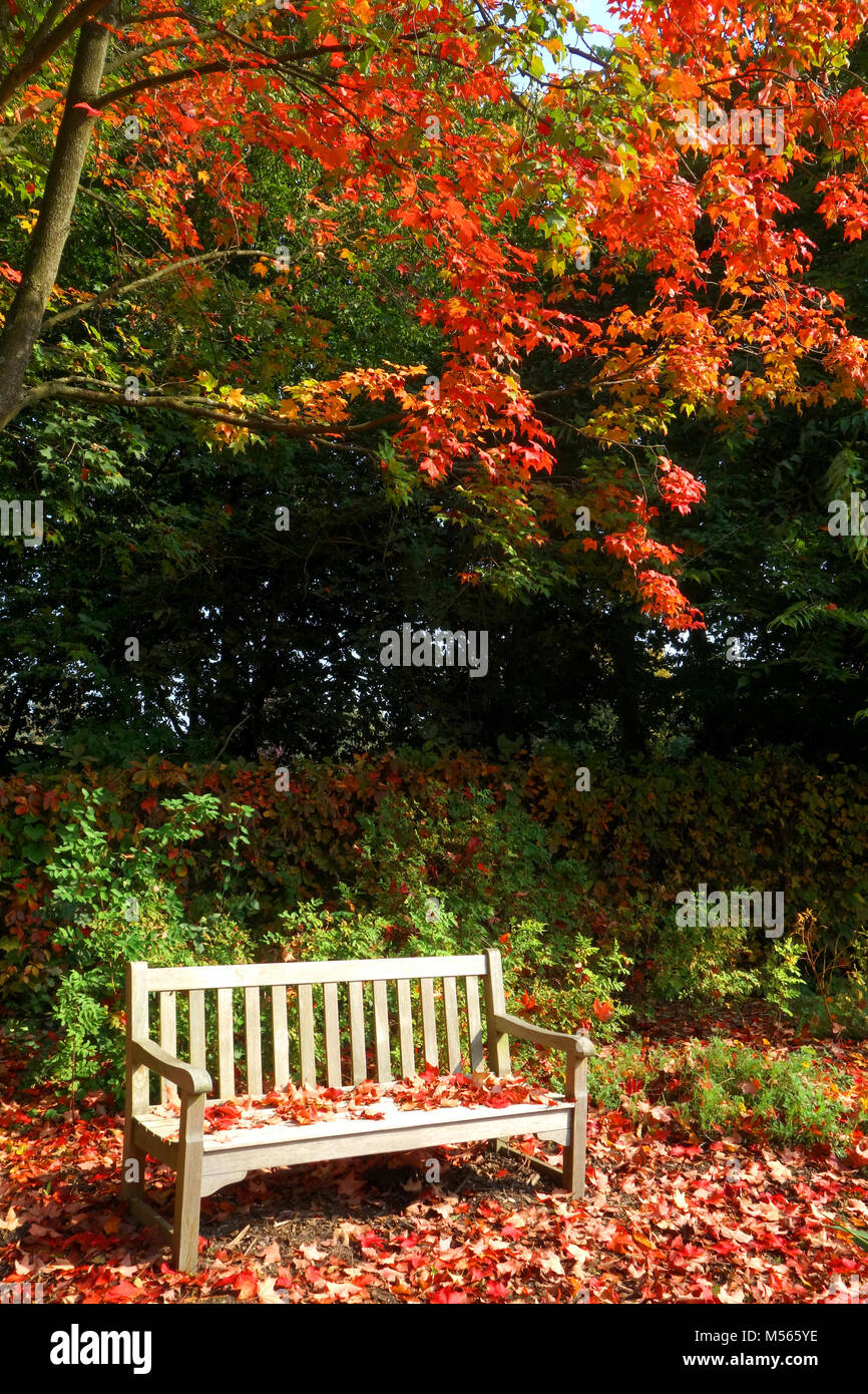 Wooden bench in colorful garden hi-res stock photography and images - Alamy