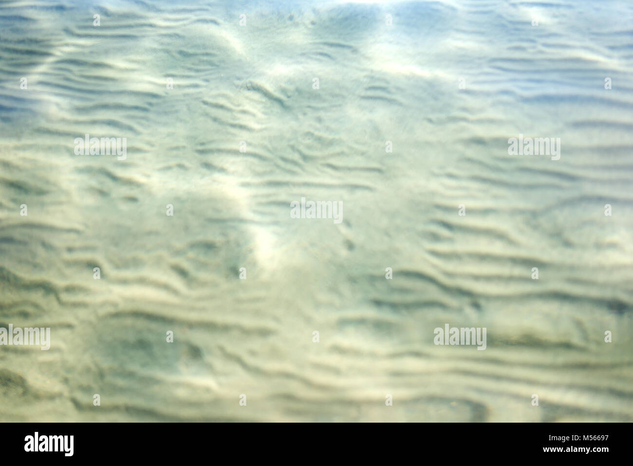Underwater shallow sandy ocean floor hi-res stock photography and ...