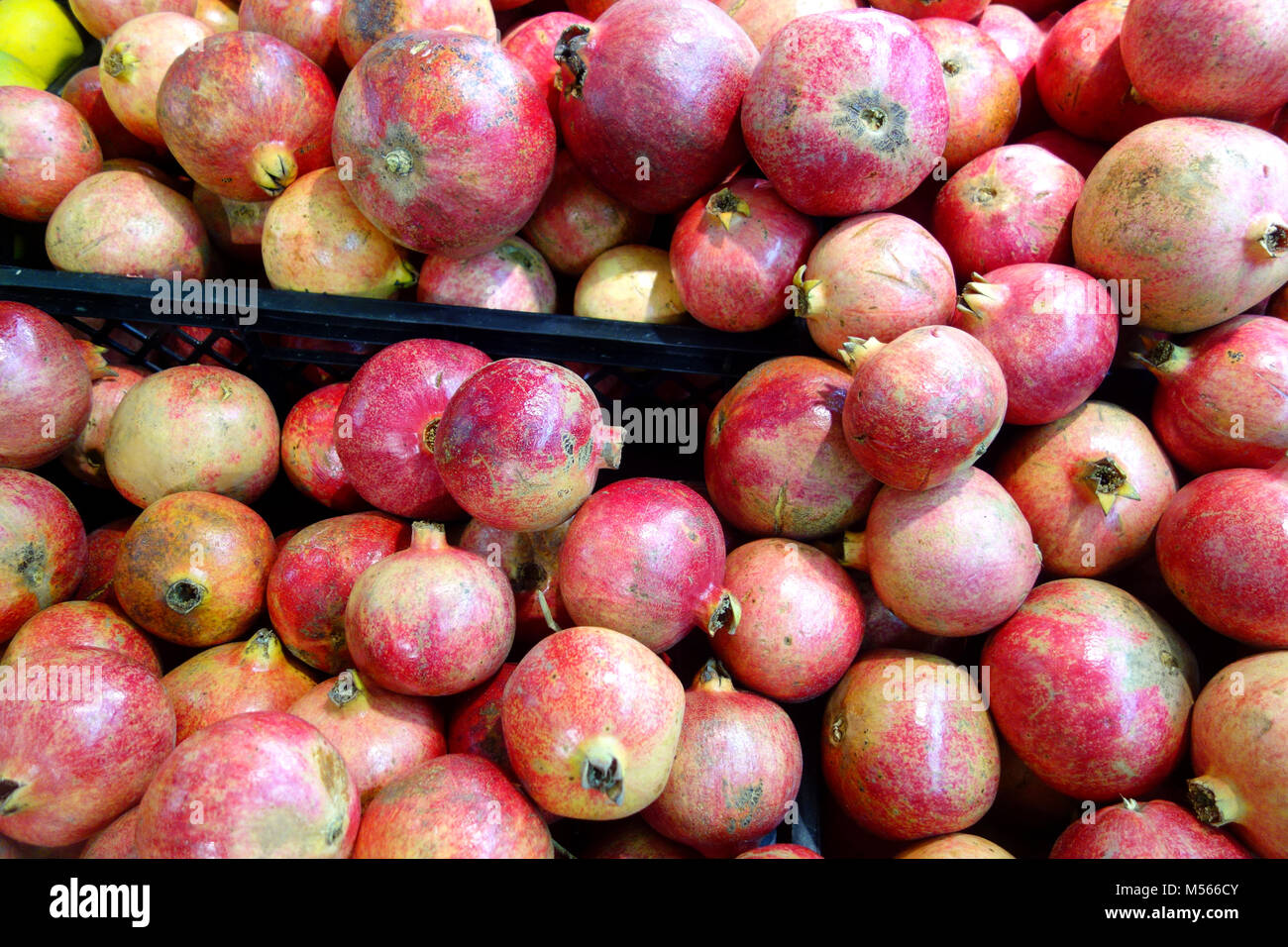 The color of pomegranates hi-res stock photography and images - Alamy