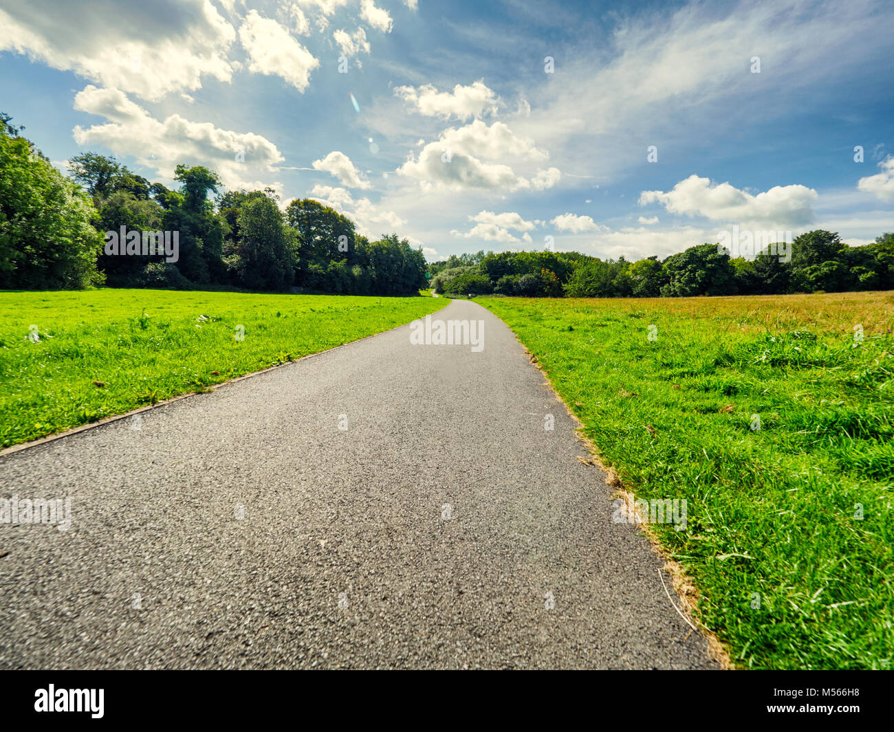 summer countryside road,Northern Ireland Stock Photo - Alamy