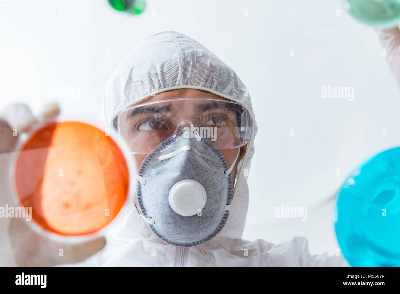 Chemist working in the laboratory with hazardous chemicals Stock Photo ...