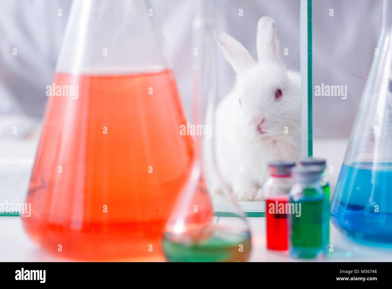 Rabbit cage lab hi-res stock photography and images - Alamy