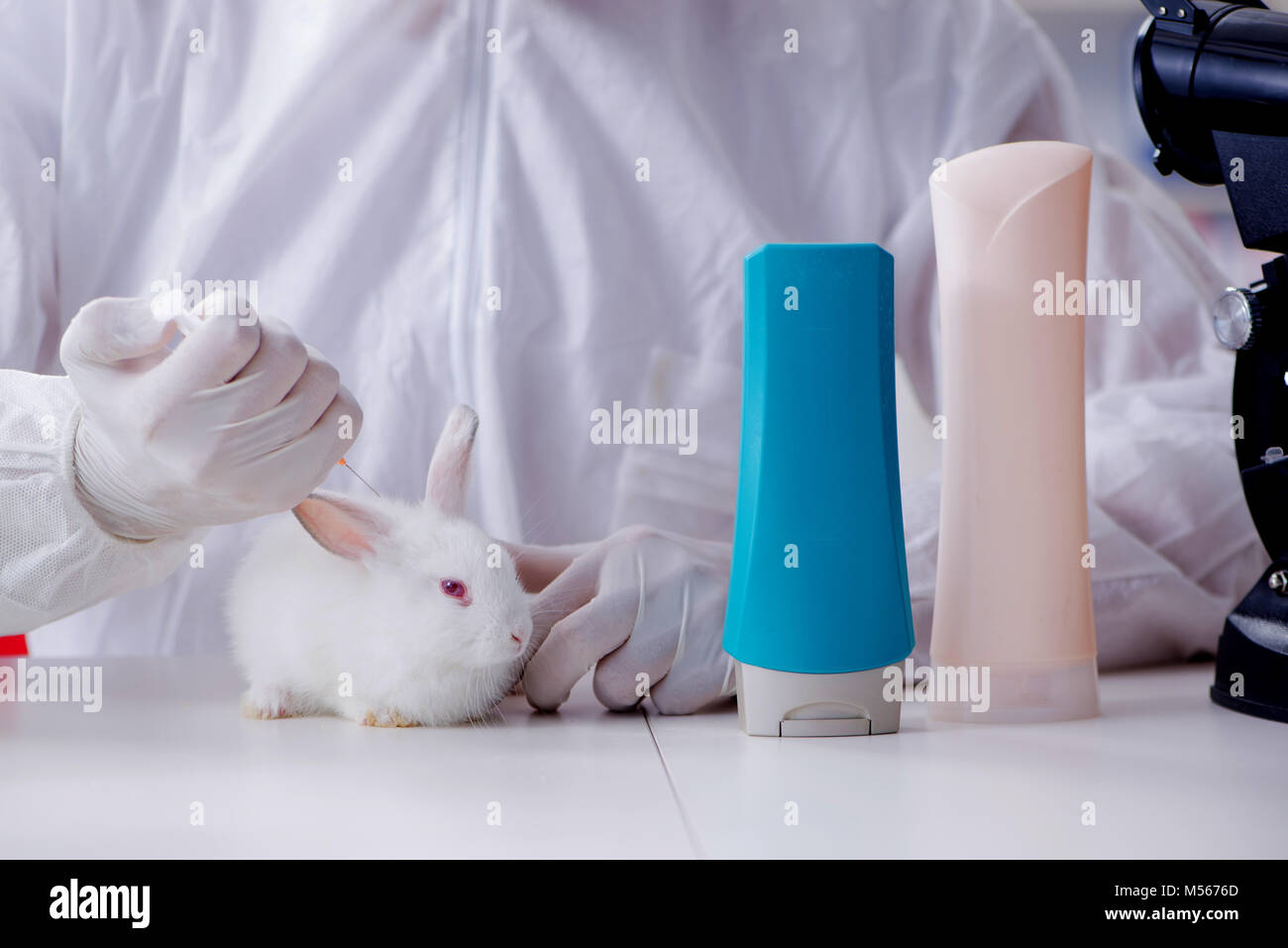 White rabbit in scientific lab experiment Stock Photo - Alamy