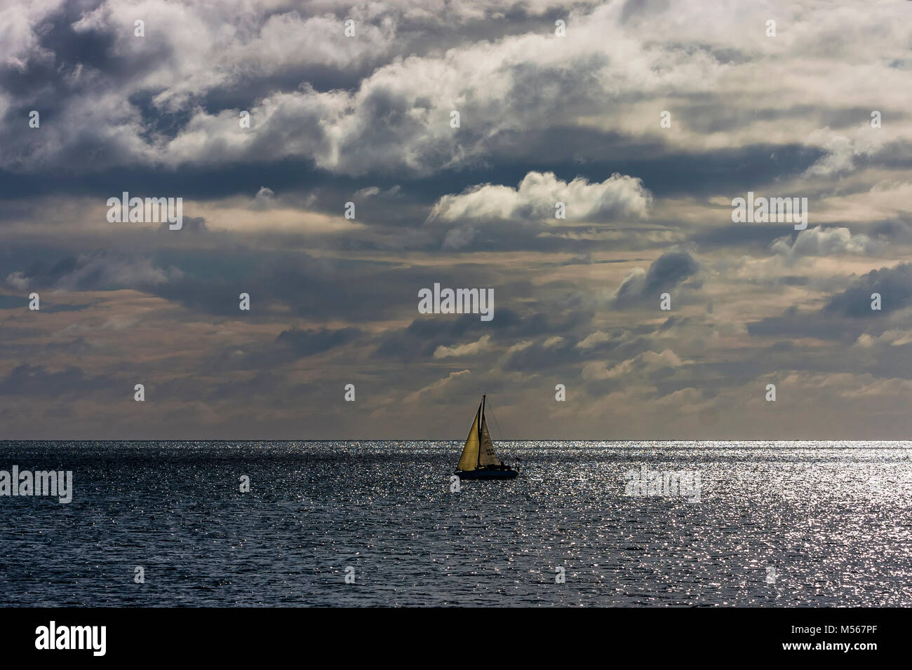 Yacht sailing in Brixham bay in South Devon, UK Stock Photo - Alamy