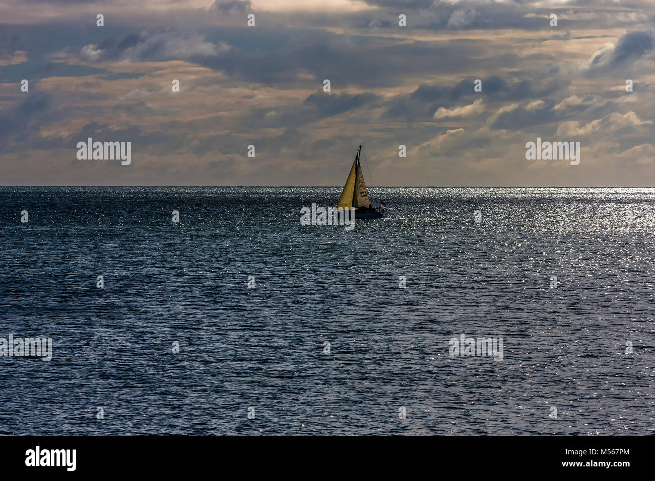 Yacht sailing in Brixham bay in South Devon, UK Stock Photo - Alamy