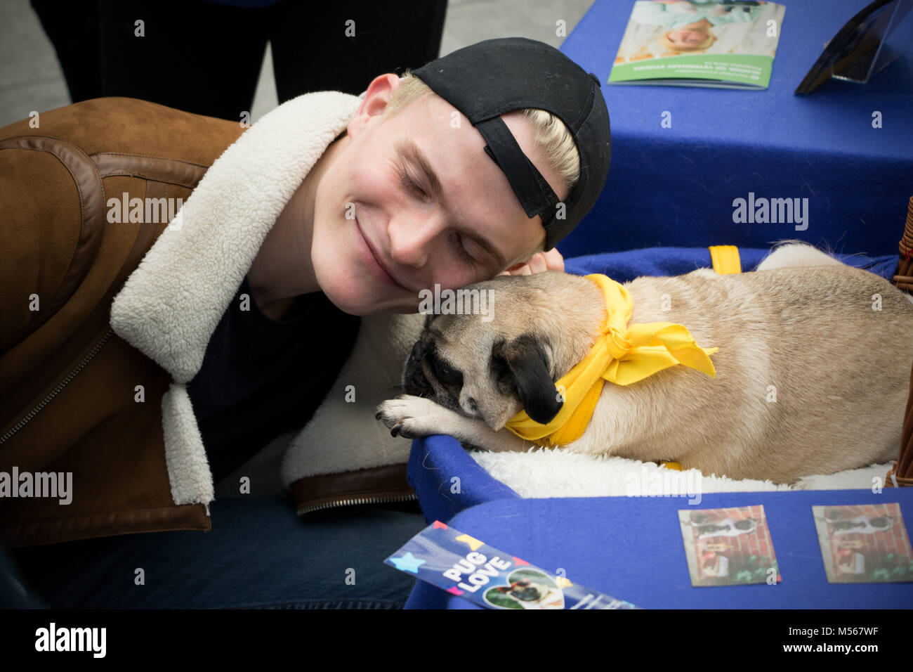 Therapeutic animals hi-res stock photography and images - Alamy