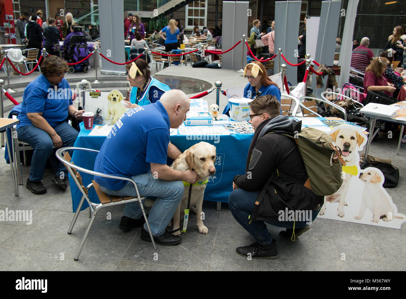 Guide dogs uk hi-res stock photography and images - Alamy
