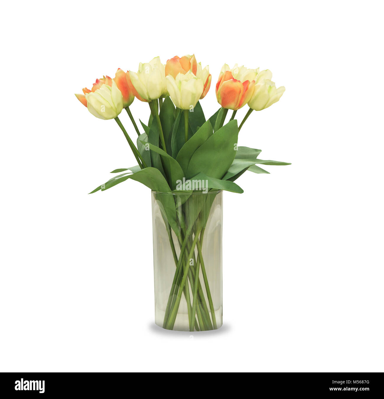 Pink flowers in vase on Cut Out Stock Images & Pictures - Alamy