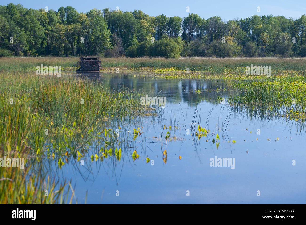 A duck blind waits for the season with green trees and grasses ...