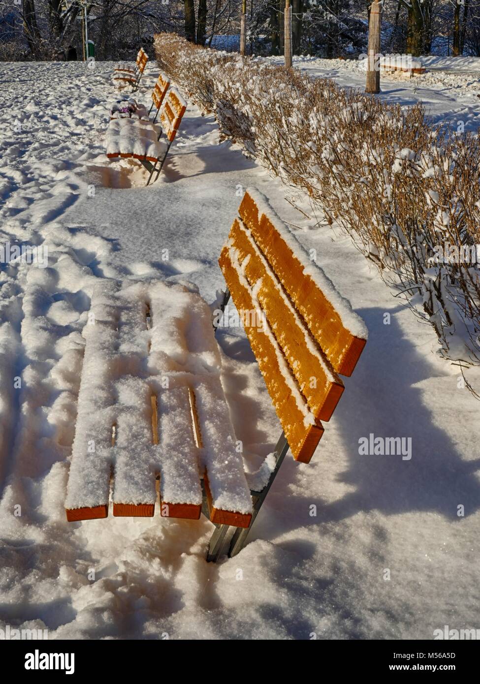 Snowy benches in park Stock Photo - Alamy
