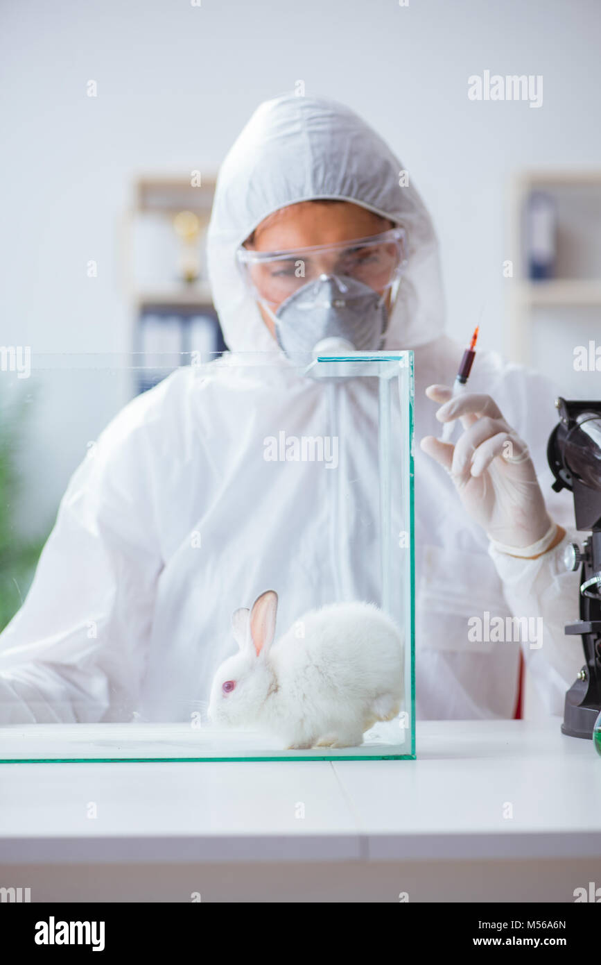 Scientist doing animal experiment in lab with rabbit Stock Photo - Alamy