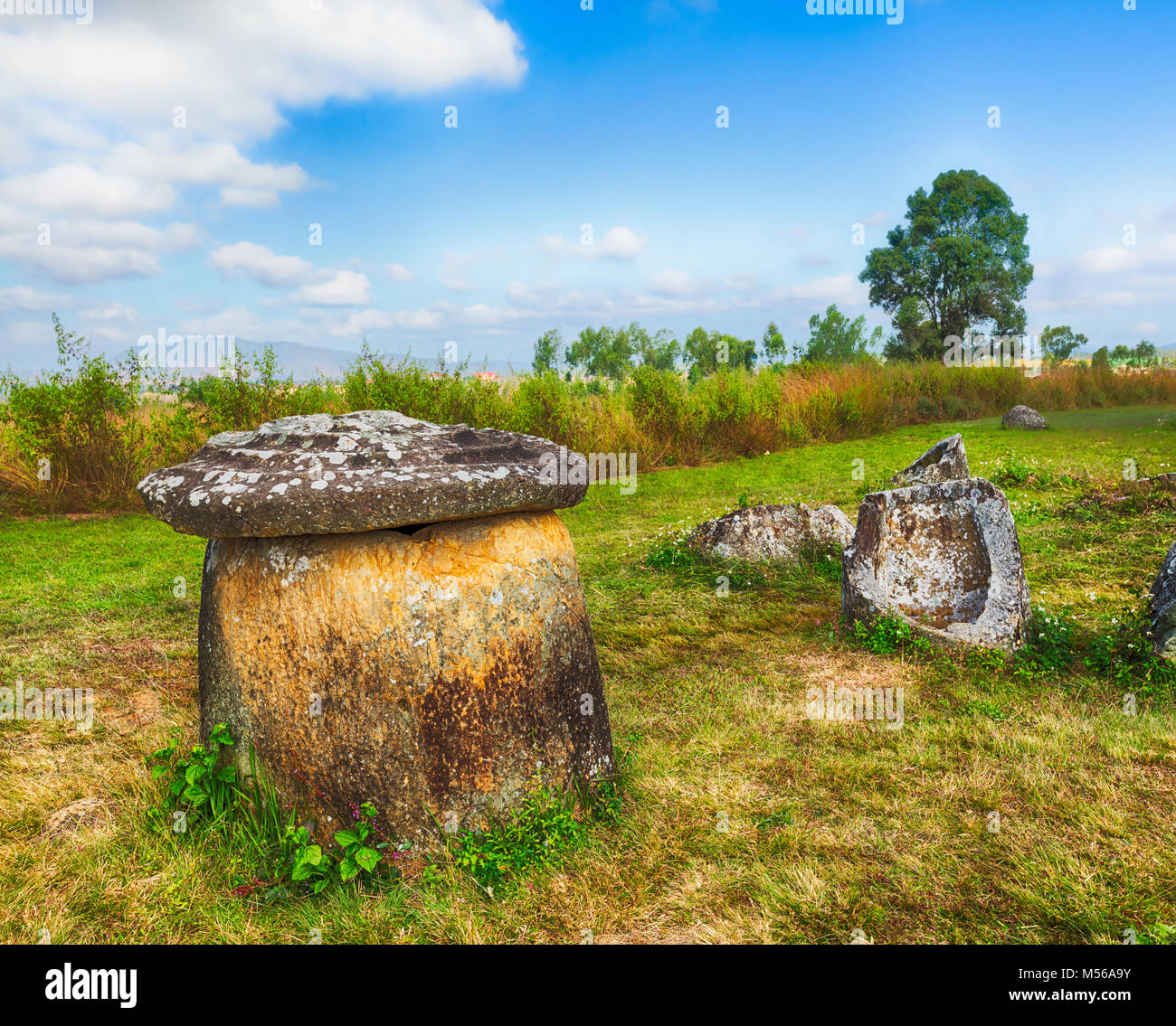 The Plain of jars. Laos Stock Photo - Alamy
