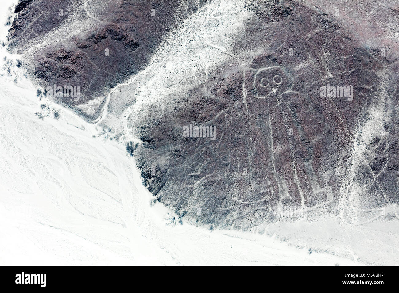 Nazca lines from the aircraft Stock Photo - Alamy