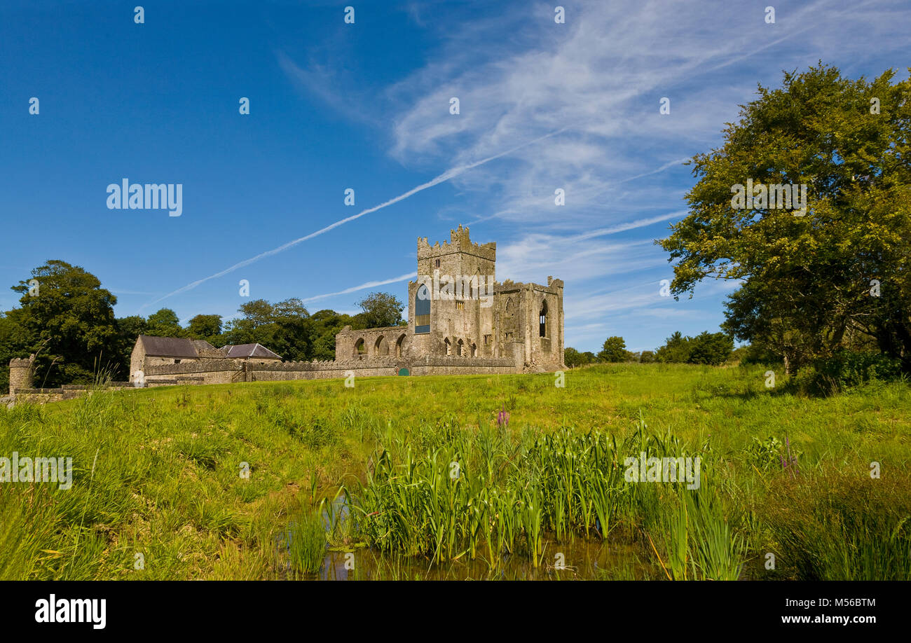 13th Century Cistercian Tintern Abbey on the Hook Peninsula, County ...
