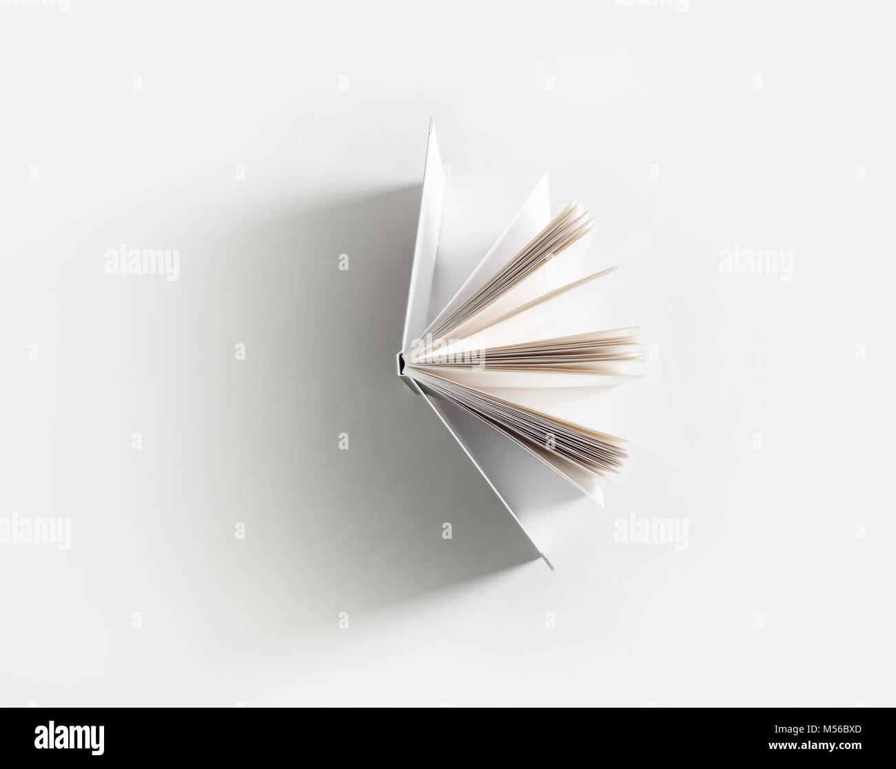 White book hi-res stock photography and images - Alamy