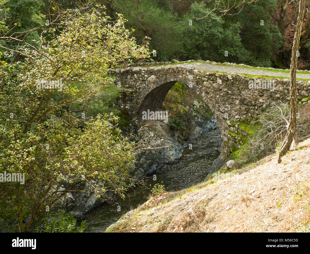 Small pedestrian humpbacked bridge hi-res stock photography and images ...
