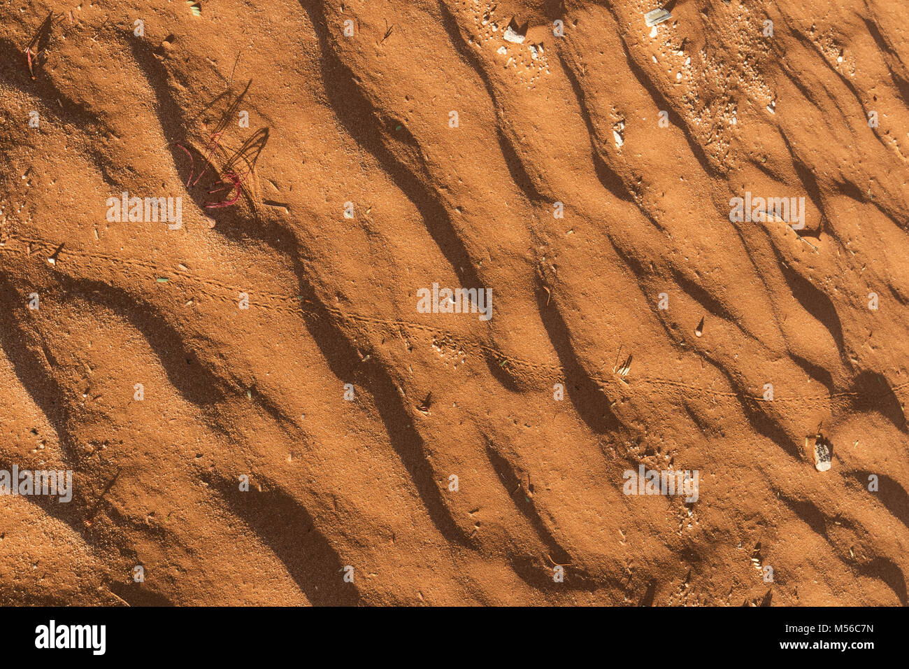 Close Up Of Dune Texture In Namibia Desert Stock Photo Alamy