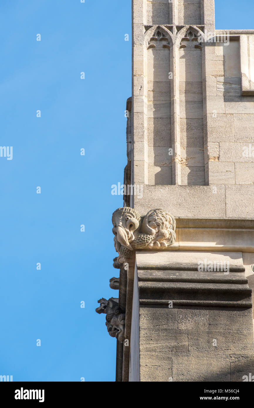 Carved stone Dodo gargoyle / grotesque on the roof of Bodleian library ...