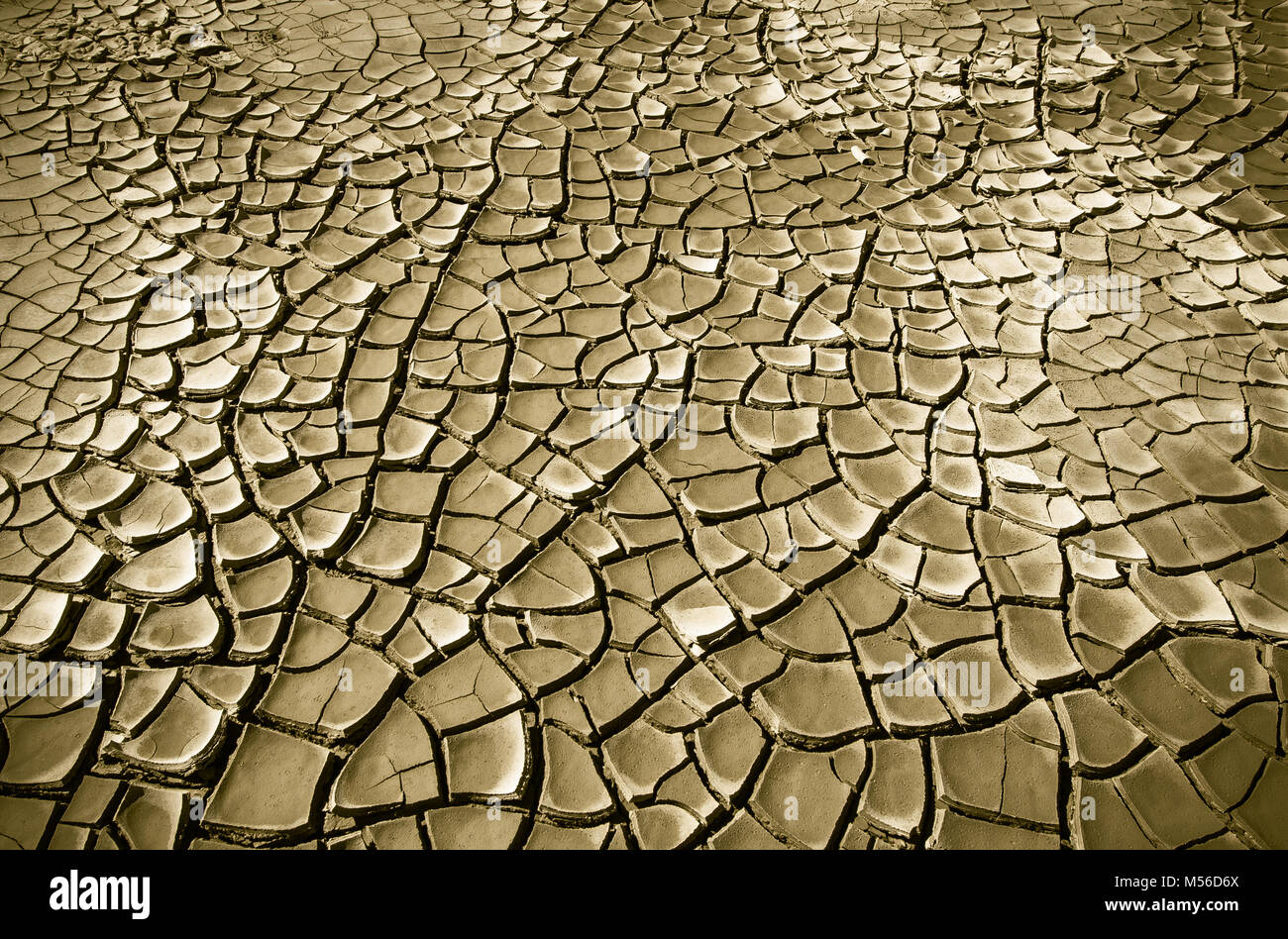 Cracked soil of desert Stock Photo - Alamy