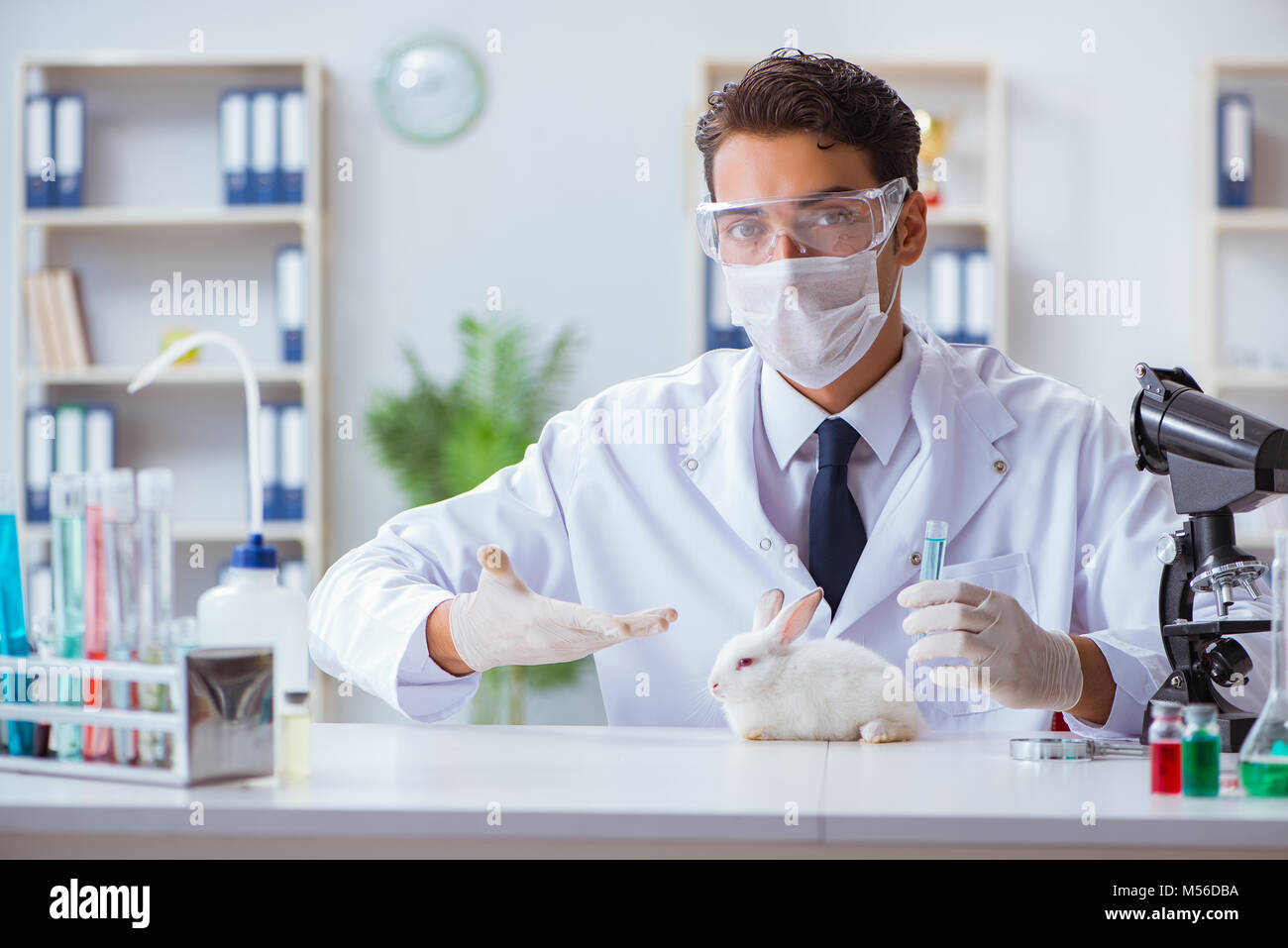 Vet doctor examining rabbit in pet hospital hi-res stock photography ...
