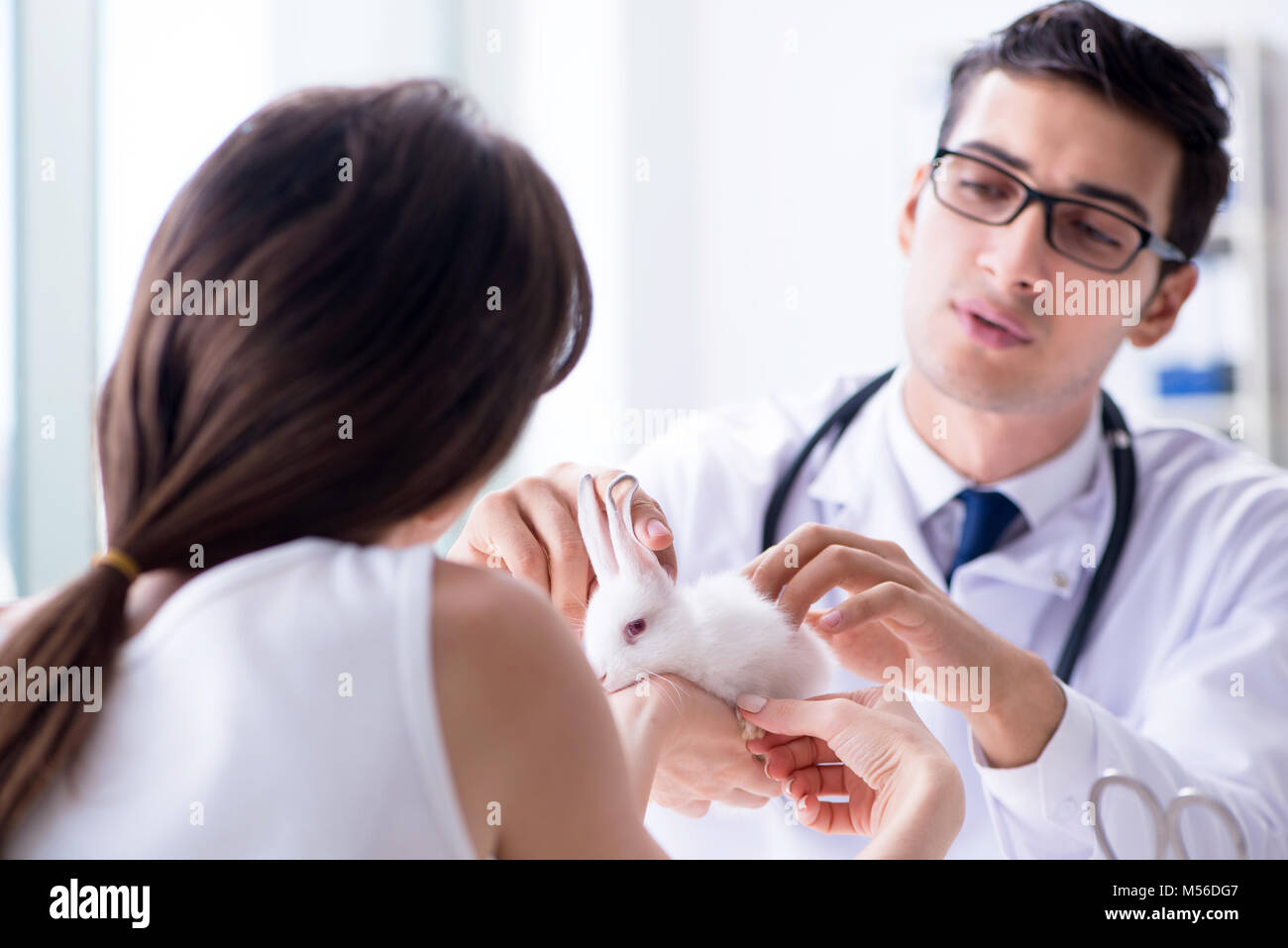 Woman with pet rabbit visiting vet doctor Stock Photo - Alamy