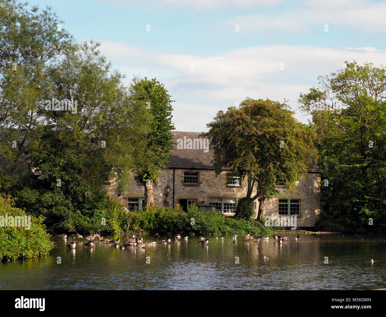 River Wye in Peak District Derbyshire England Stock Photo - Alamy