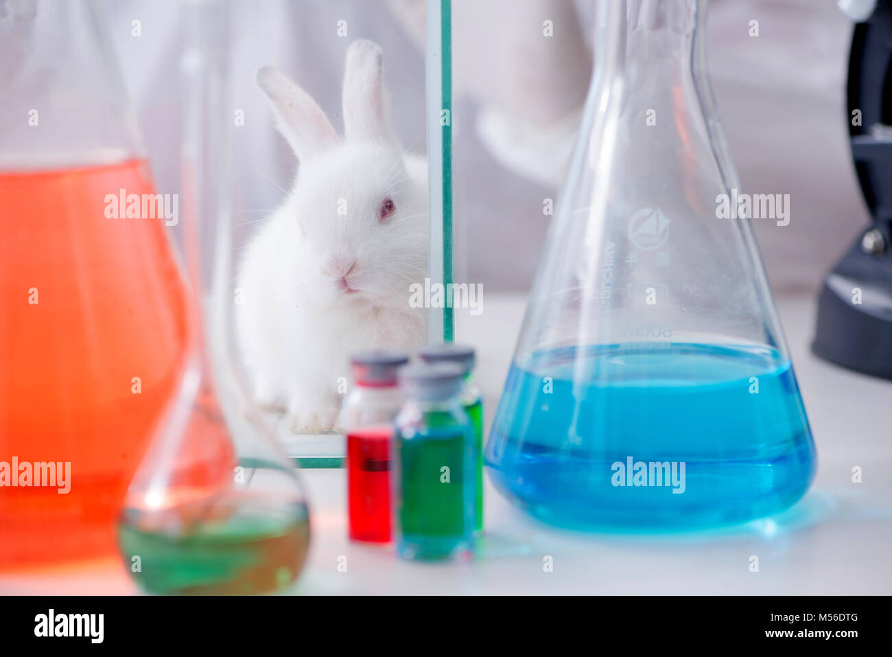 Sick rabbit cage hi-res stock photography and images - Alamy