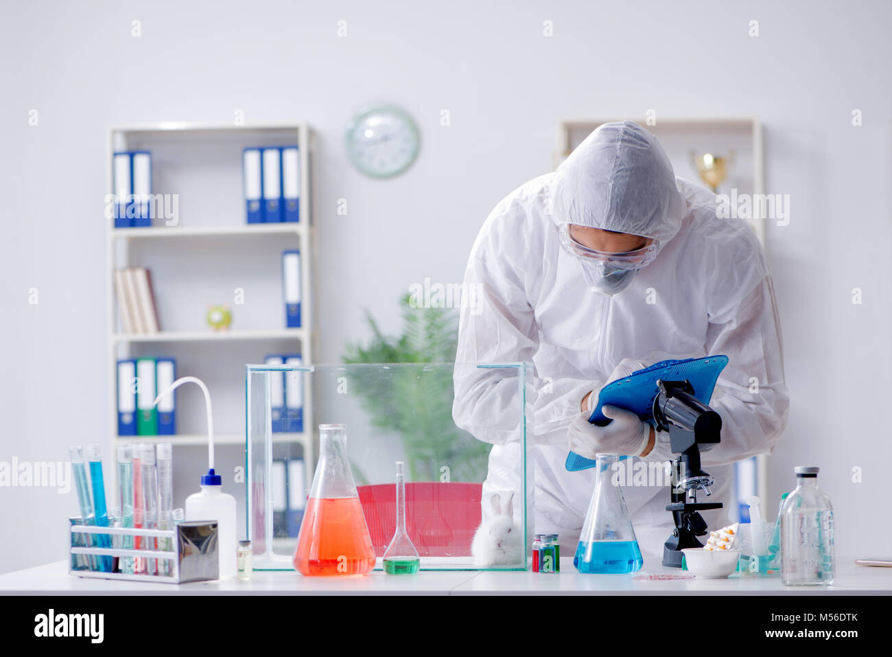 Scientist doing animal experiment in lab with rabbit Stock Photo - Alamy