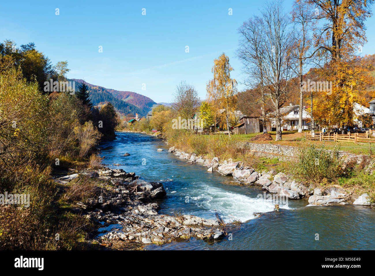 Autumn Carpathian mountain White Tysa river landscape with multicolored ...