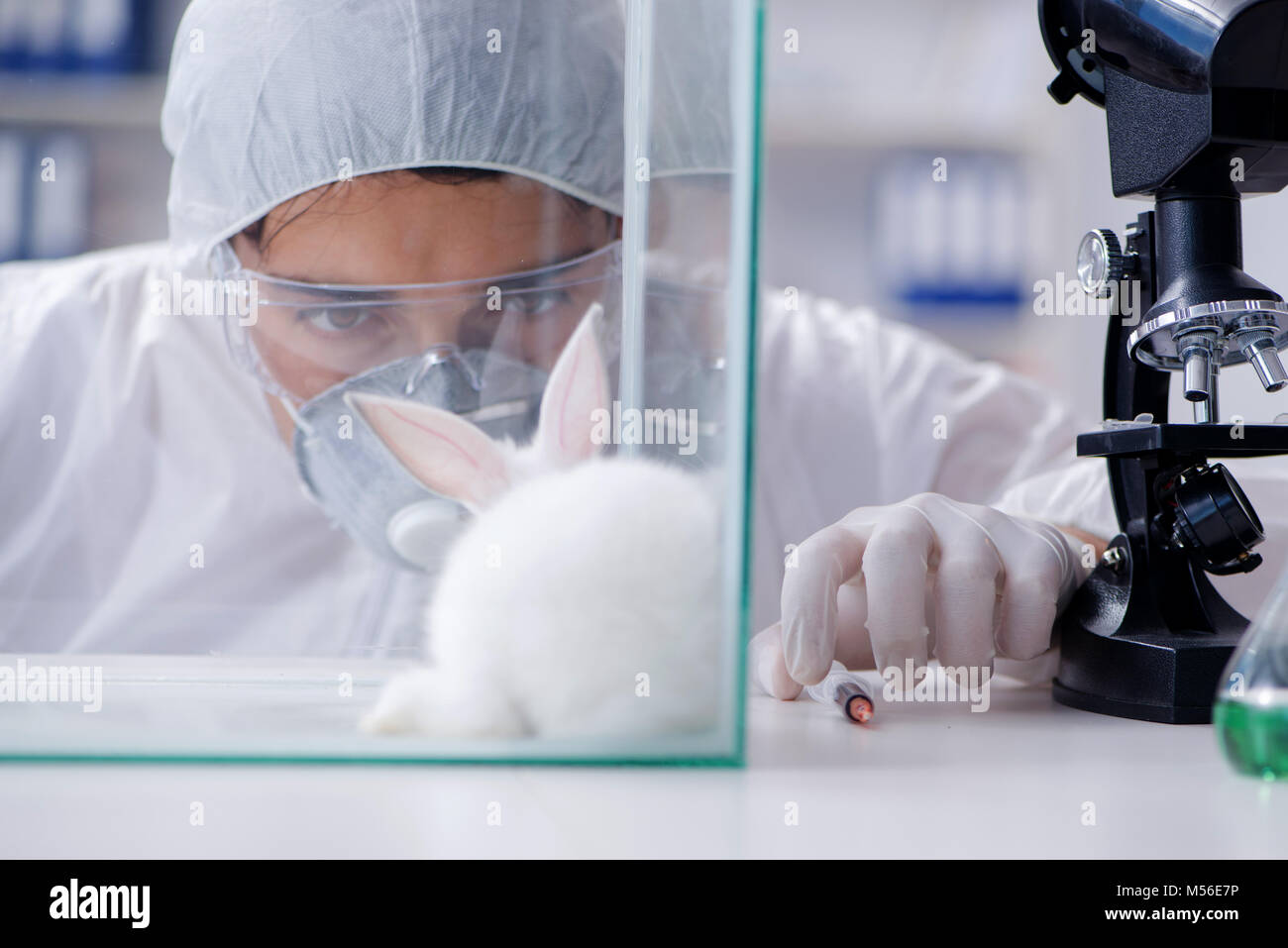 Scientist doing animal experiment in lab with rabbit Stock Photo - Alamy