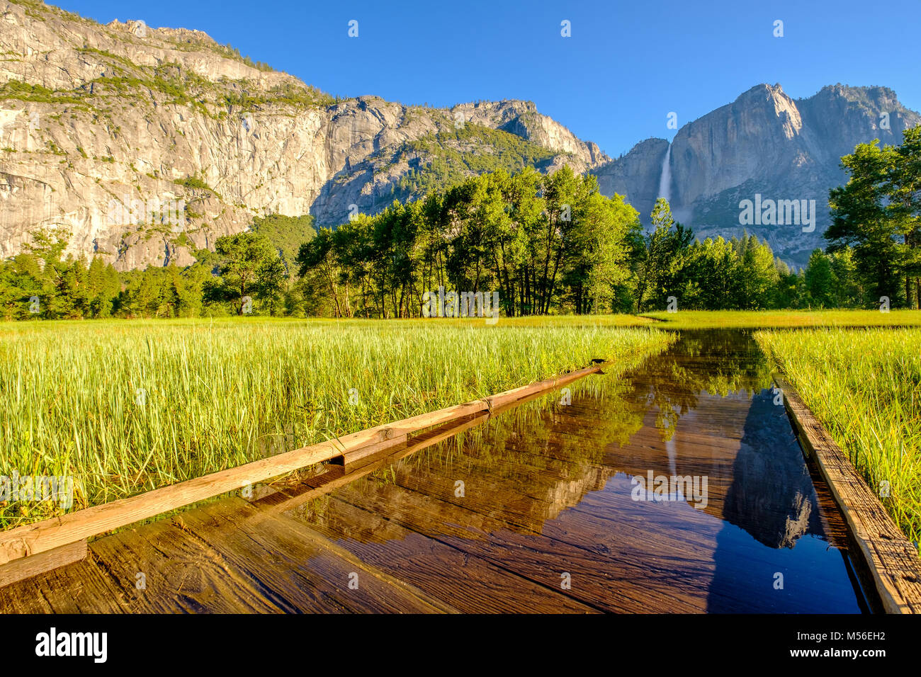 Meadow with flooded boardwalk and Yosemite Falls Stock Photo - Alamy