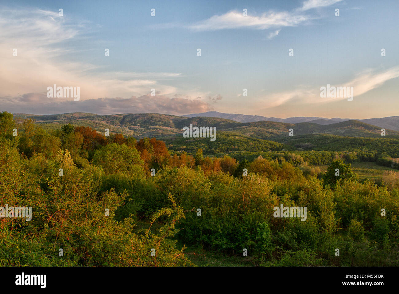 Spring landscape with Russian Stock Photo - Alamy