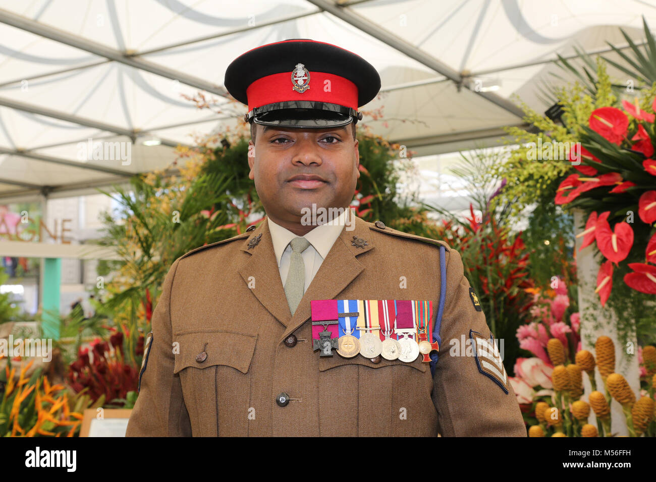 Johnson beharry vc hi-res stock photography and images - Alamy
